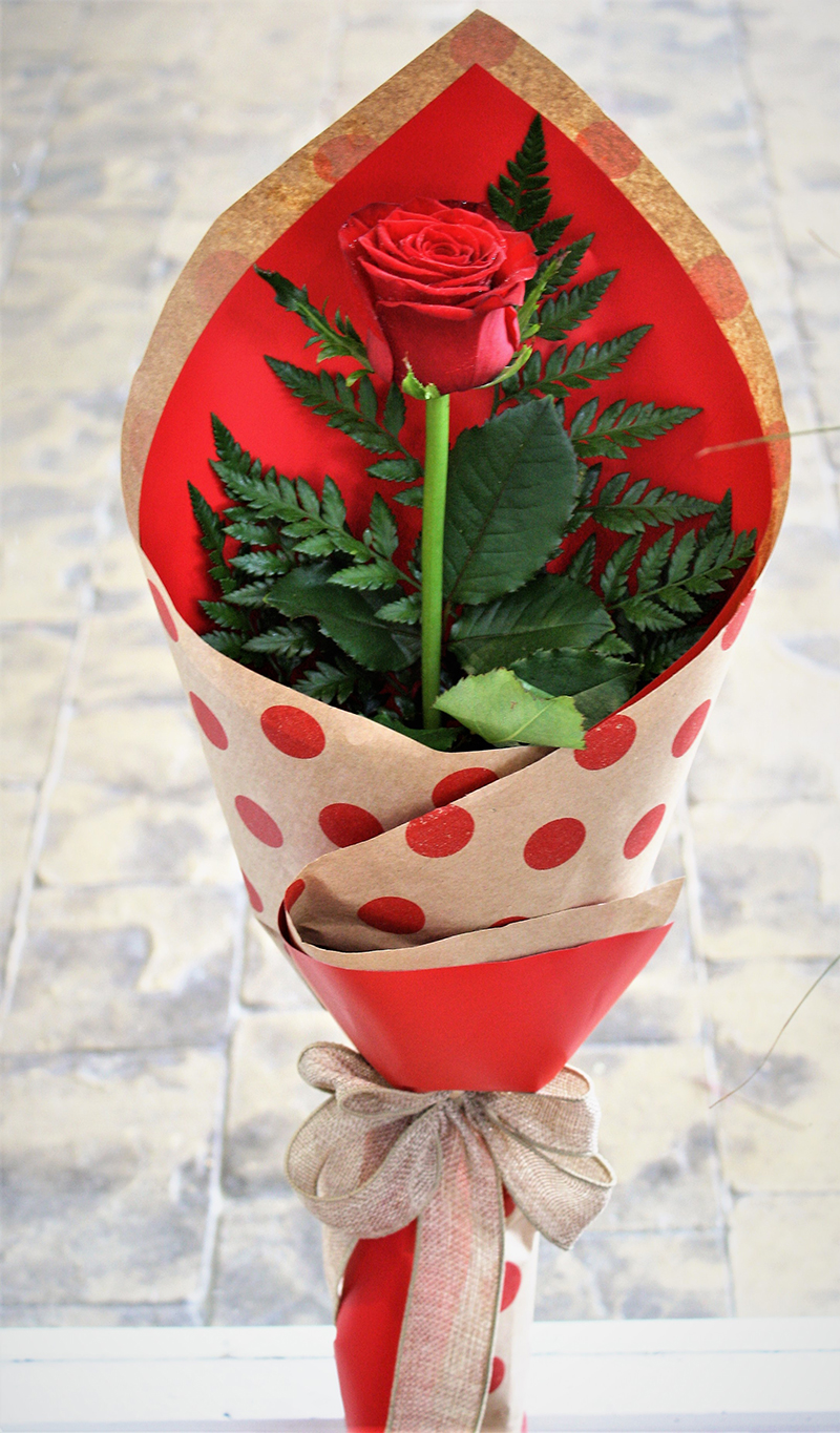 Single Rose Gift wrapped – La Fleur